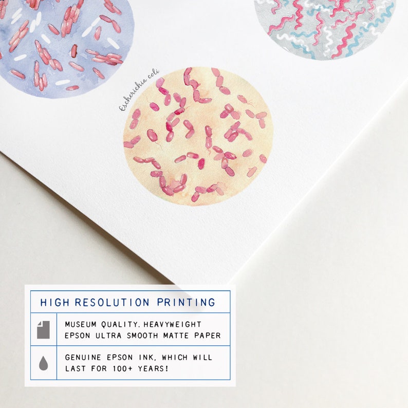 Waterborne Pathogens Collection Science Art Poster - Etsy