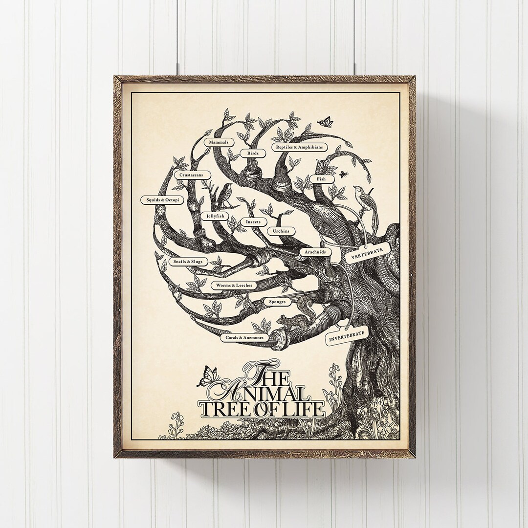 The Animal Tree of Life Poster, Biology Print, Wall Decor, Science Art ...
