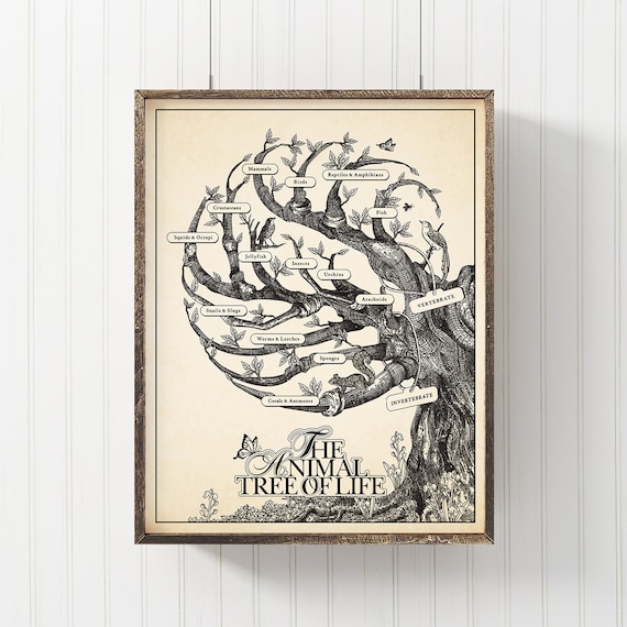 Tree Of Life Poster