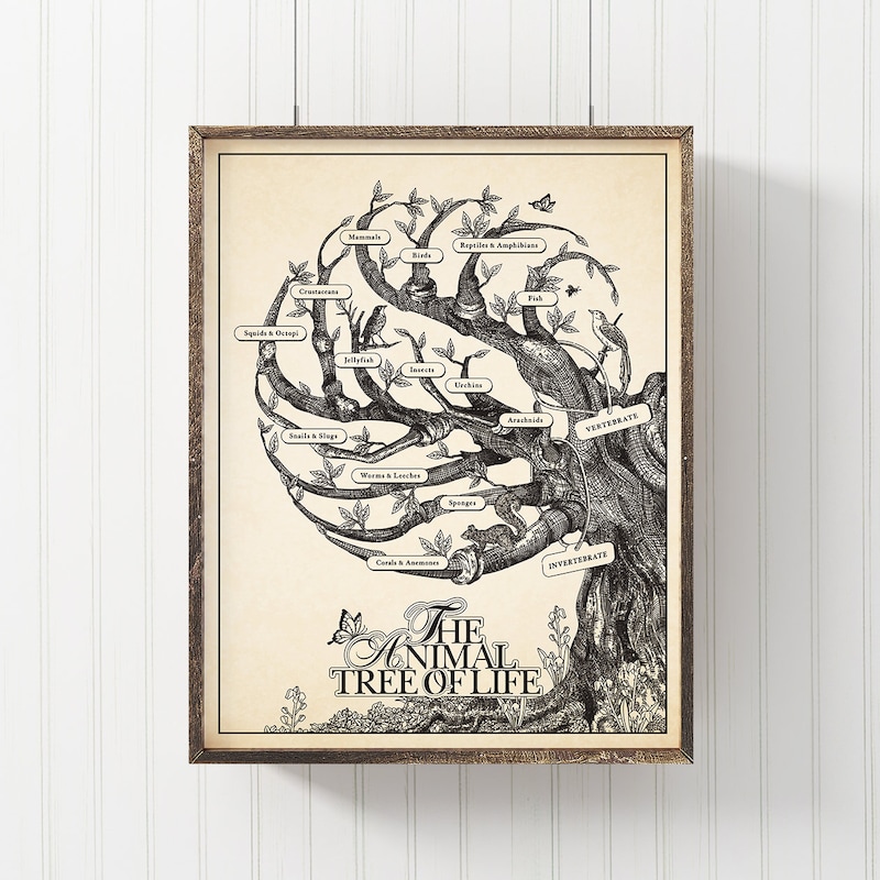 Tree of Life Poster - Etsy