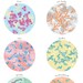 Bacterial Shape Collection Microbiology Poster Science Art - Etsy