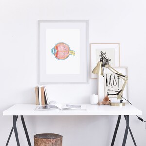 Eye Anatomy, Biology Poster, Science Art Print, Ophthalmology Wall ...