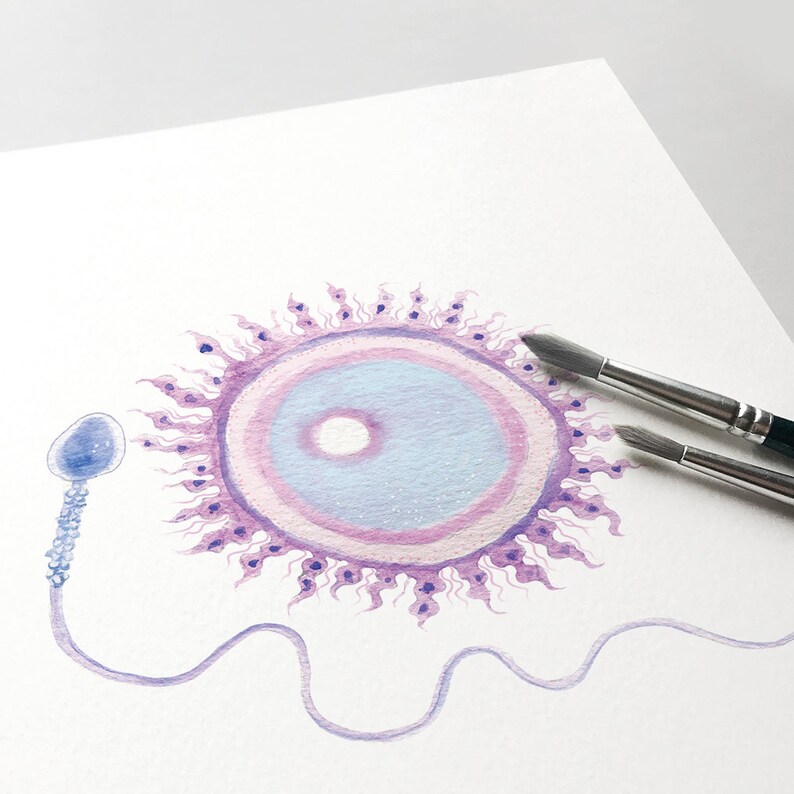 Reproductive Cells Biology Poster Cytology Art Science Art - Etsy Hong Kong