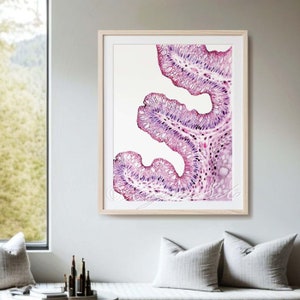 Goblet Cell Histology, Goblet Cells Science Art Decor, Anatomy ...