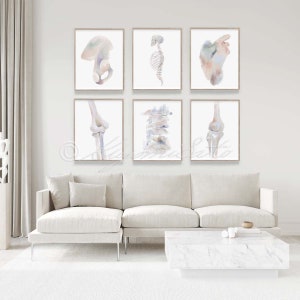 Physical Therapy Orthopedics Gallery Art Poster Set of 6, Anatomy Art ...