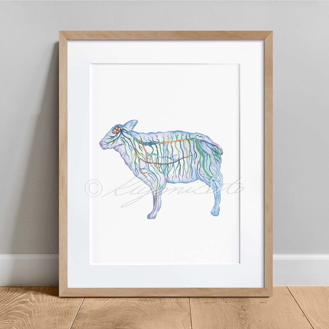 Sheep Nervous System, Blue Vertical Science Art, Veterinary Decor ...