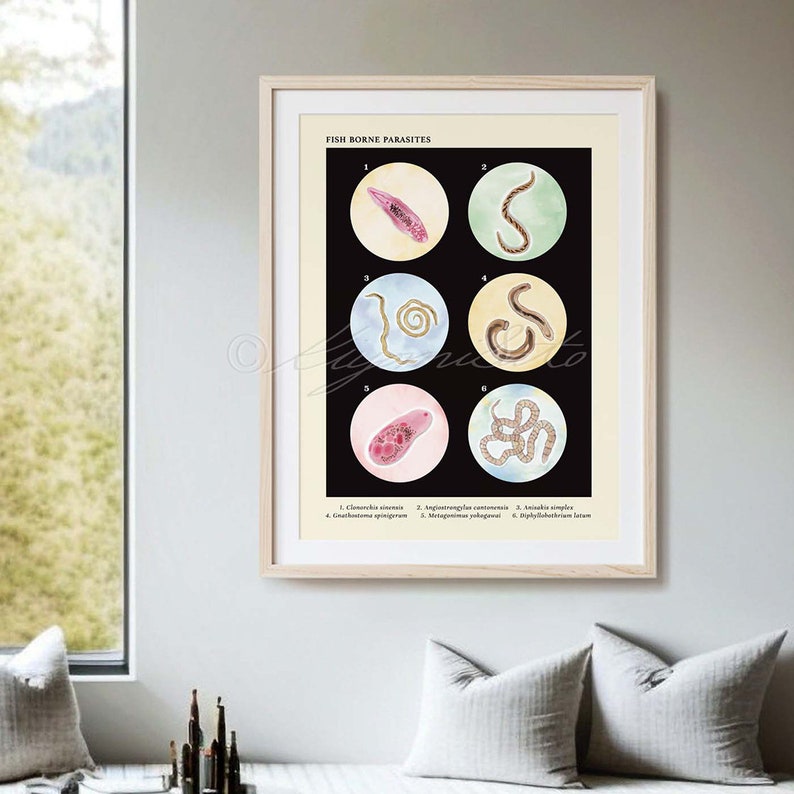Fish Borne Parasites Collection Vintage Style Parasitology Art Poster ...