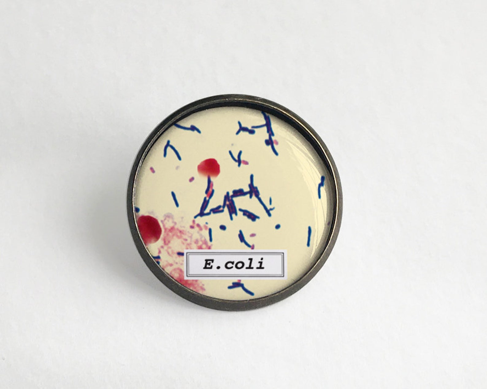 E.coli Lapel Pin Bacteria Microbiology Biology Badge | Etsy