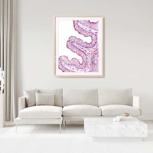 Goblet Cell Histology, Goblet Cells Science Art Decor, Anatomy ...