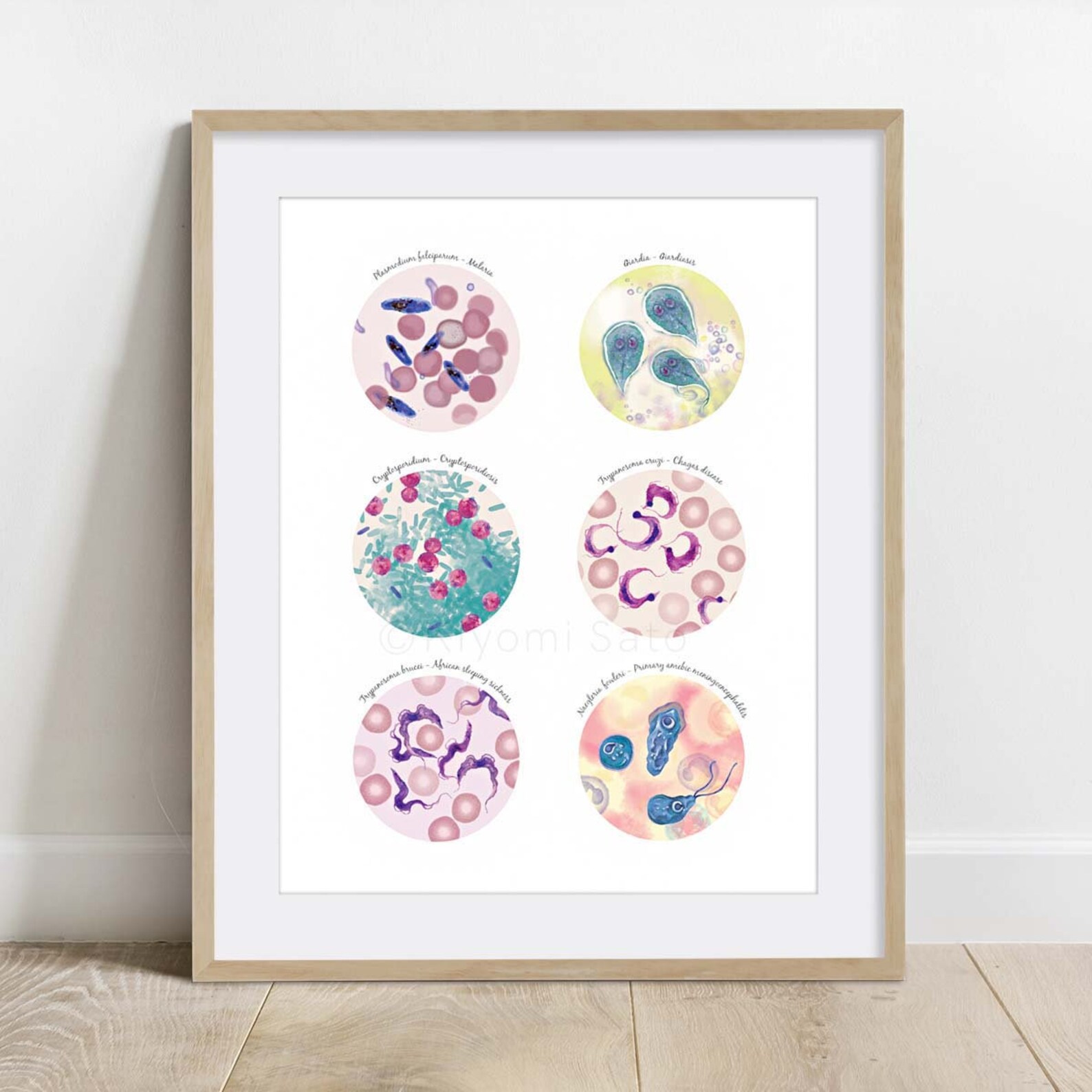 Parasitic Disease Collection Science Art Poster Microbiology - Etsy