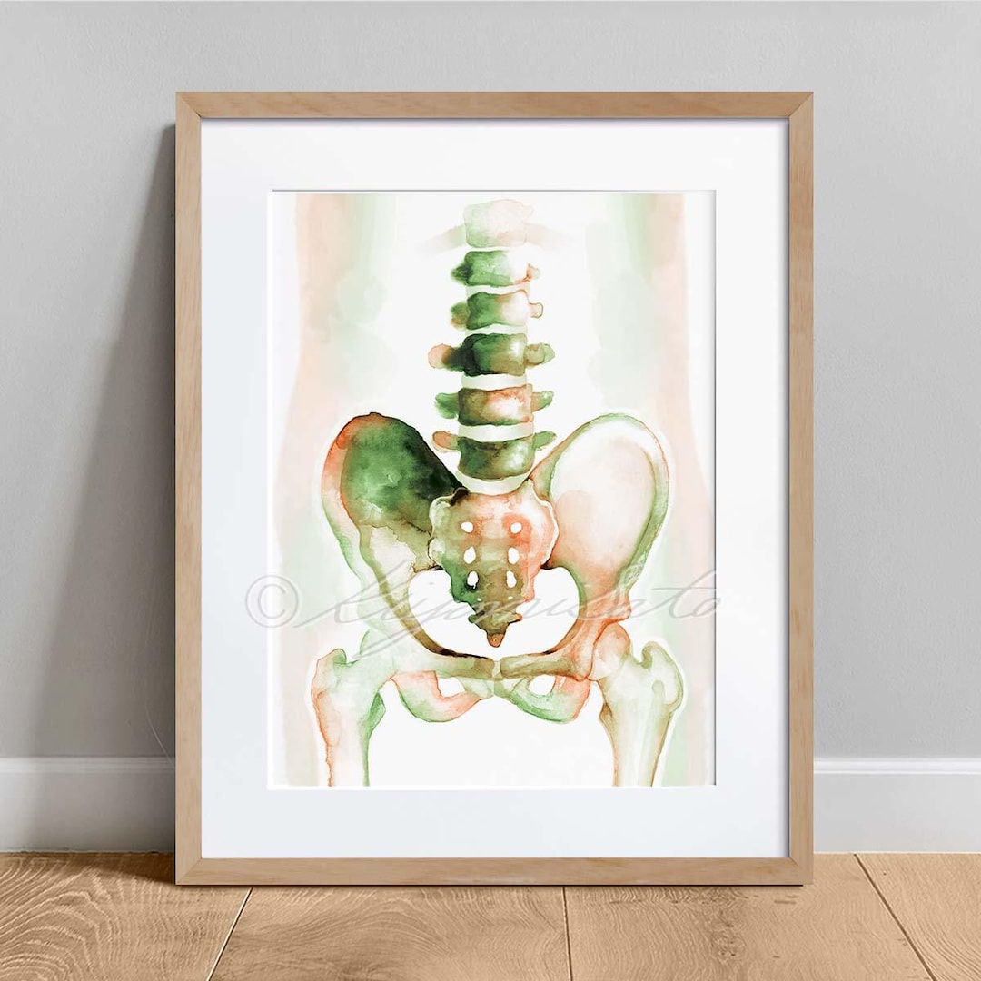 Hip Bone Abstract Art Print, Pelvic Girdle Art, Pelvis Orthopedics Art ...