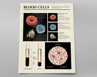 Thank You Card for Microbiology professor Chemistry Biology