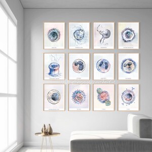Immune System 12 Posters Set, Immunology Innate Immunity Adaptive ...
