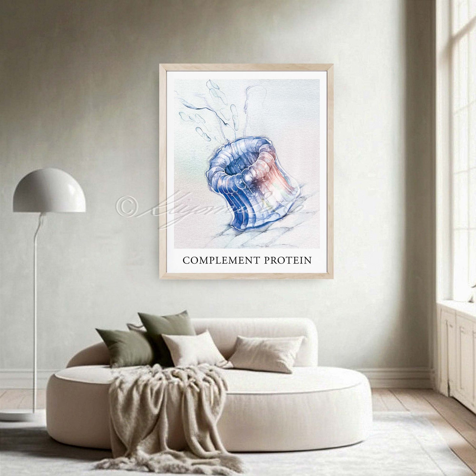 Complement Protein Innate Immunity Art Print Microbiology - Etsy