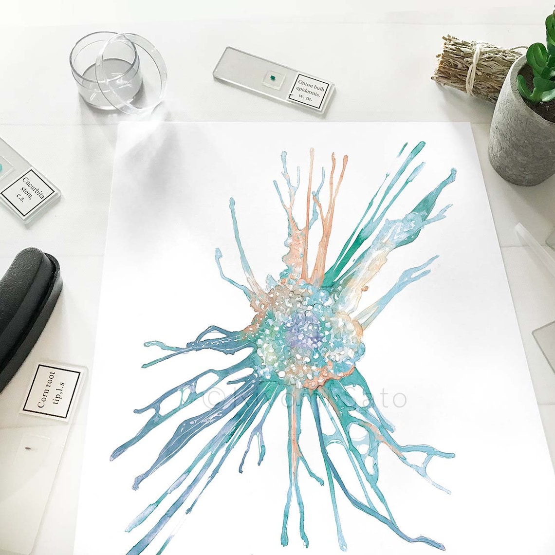 Dendritic Cell, Science Art Print, Biology Wall Decor Poster ...