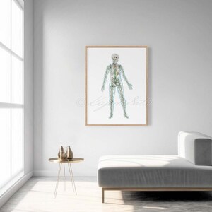 Lymphatic System Art Poster, Science Art, Biology Watercolor, Human ...