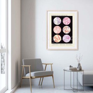 Respiratory Infection Causing Bacteria Collection Vintage Style Science ...