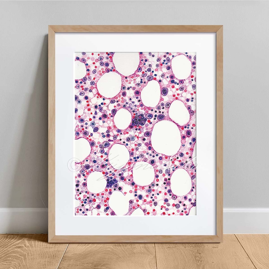 Bone Marrow Art Histology Art Print, Watercolor Anatomy Art Poster - Etsy