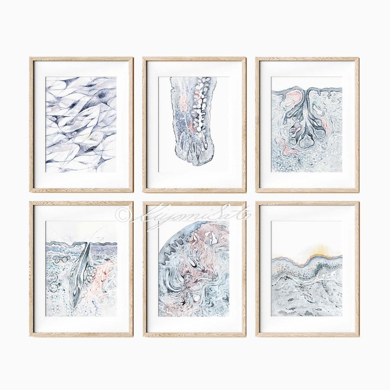Cosmetic Surgery Gallery Histology Art Poster Set of 6 Skin - Etsy