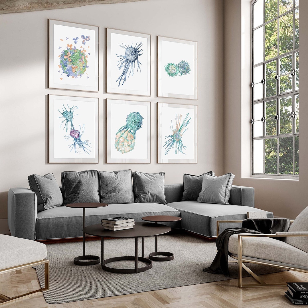 Immune Cells Gallery Art Poster Set of 6, Defensive Cells Art ...