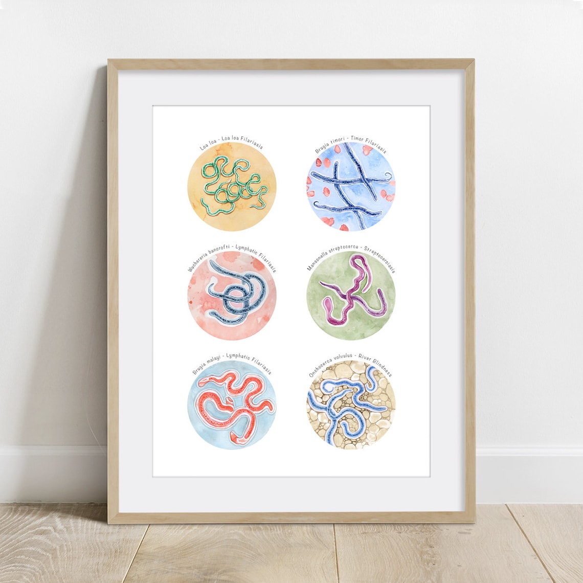 Disease Causing Filaria Collection Parasite Science Art - Etsy