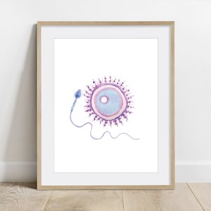 Reproductive Cells, Biology Poster, Cytology Art, Science Art Print ...