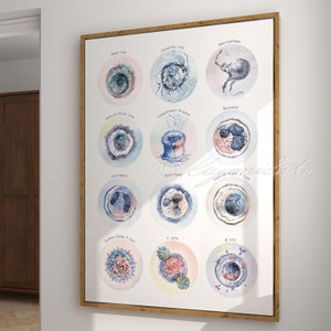 Immune System Collection Art Print, Immunology Poster White Blood Cell ...