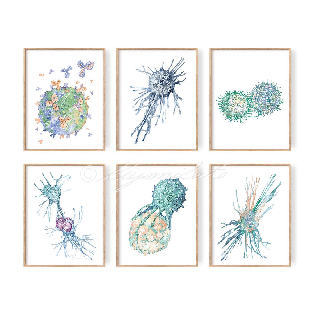 Immune Cells Gallery Art Poster Set of 6, Defensive Cells Art ...