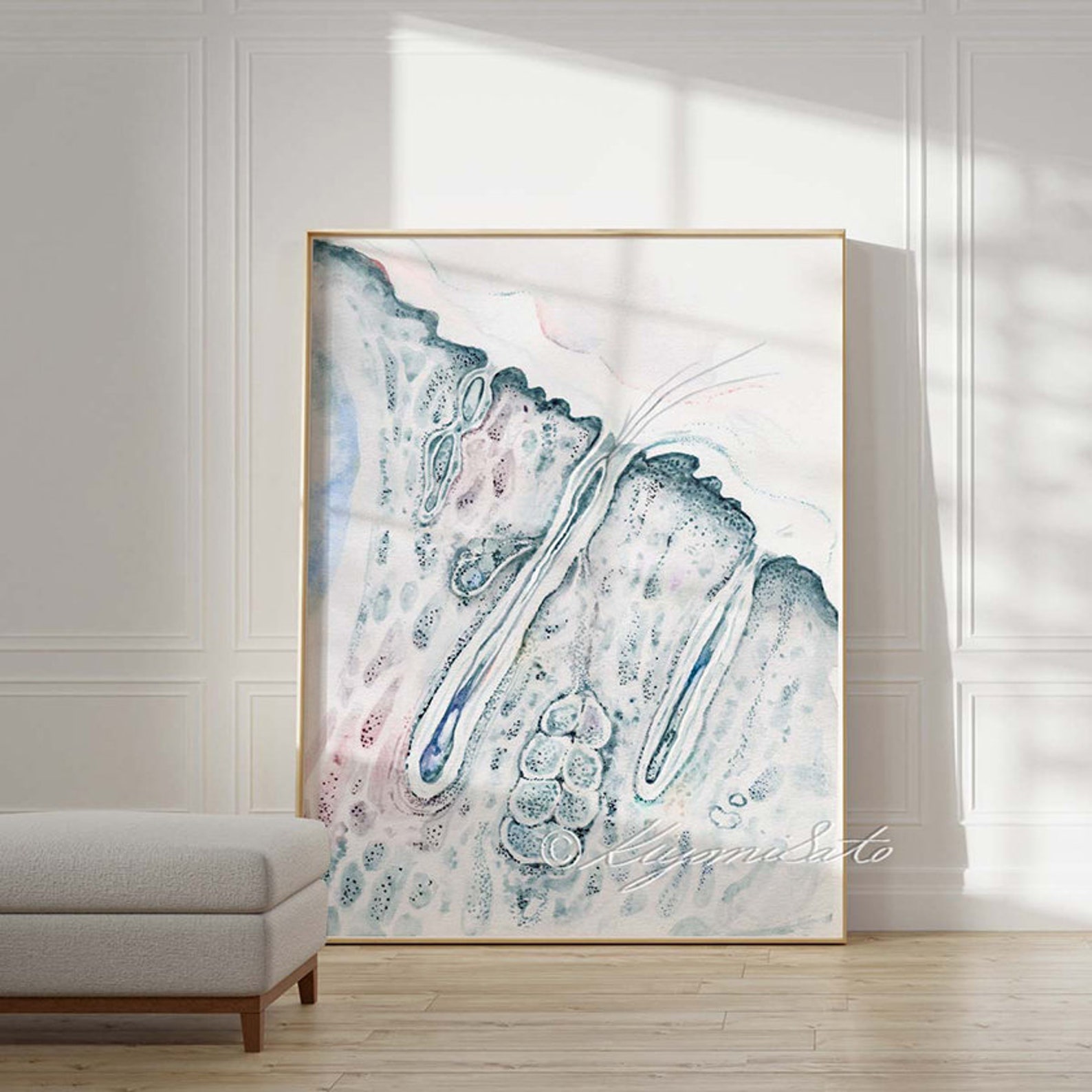 Dog Hair Follicle Histology Art, Veterinary Histology Art, Canine ...