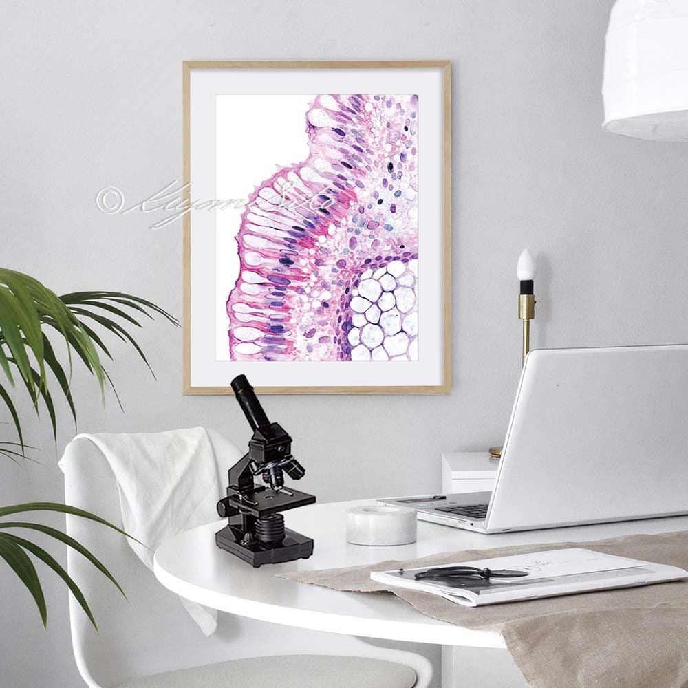 Dog Goblet Cells Histology Art Poster, Veterinary Art, Canine Anatomy ...