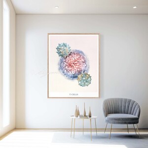 T Cells, Adaptive Immunity Art Print, White Blood Cell T Lymphocyte CD4 ...