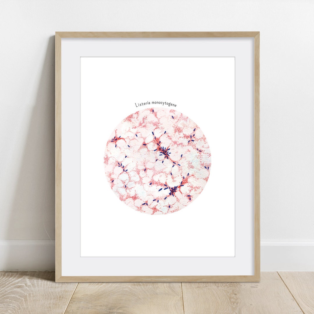 Listeria Monocytogenes, Science Art Print, Bacteria Poster ...