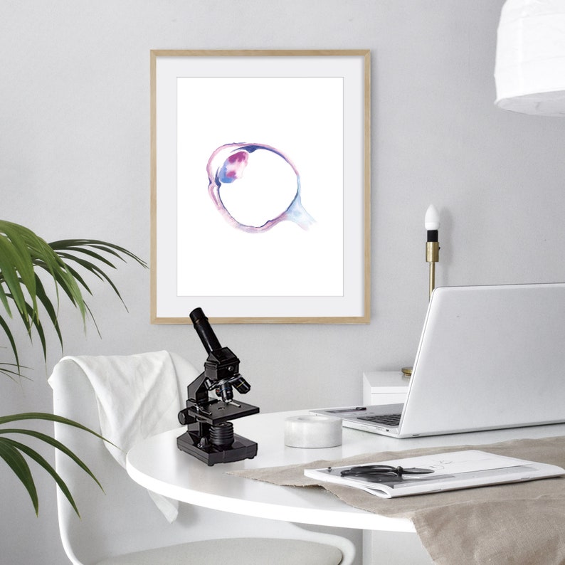 Eye Cross Section Poster Optometry Science Art Print - Etsy
