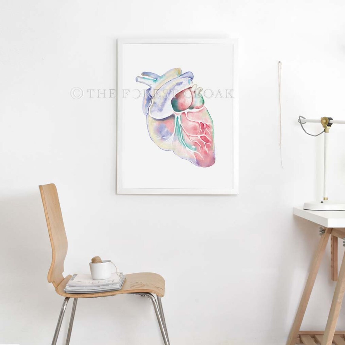 Canine Heart Anatomy Art Print Veterinary Decor Dog Biology - Etsy