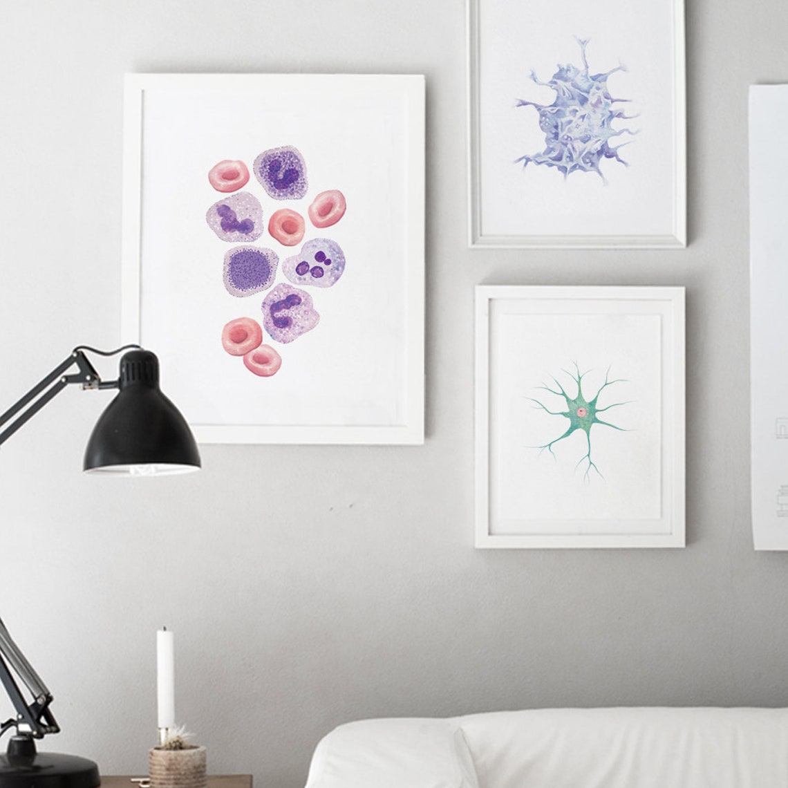 Blood Cells Biology Poster Science Art Print Red Blood - Etsy