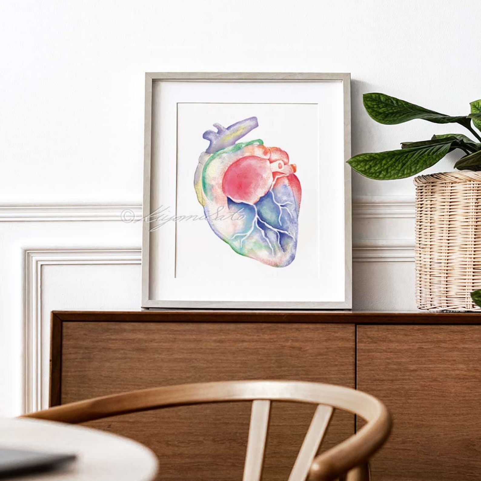 Feline Heart Anatomy Art Print Veterinary Decor Cat Cardiology Print ...