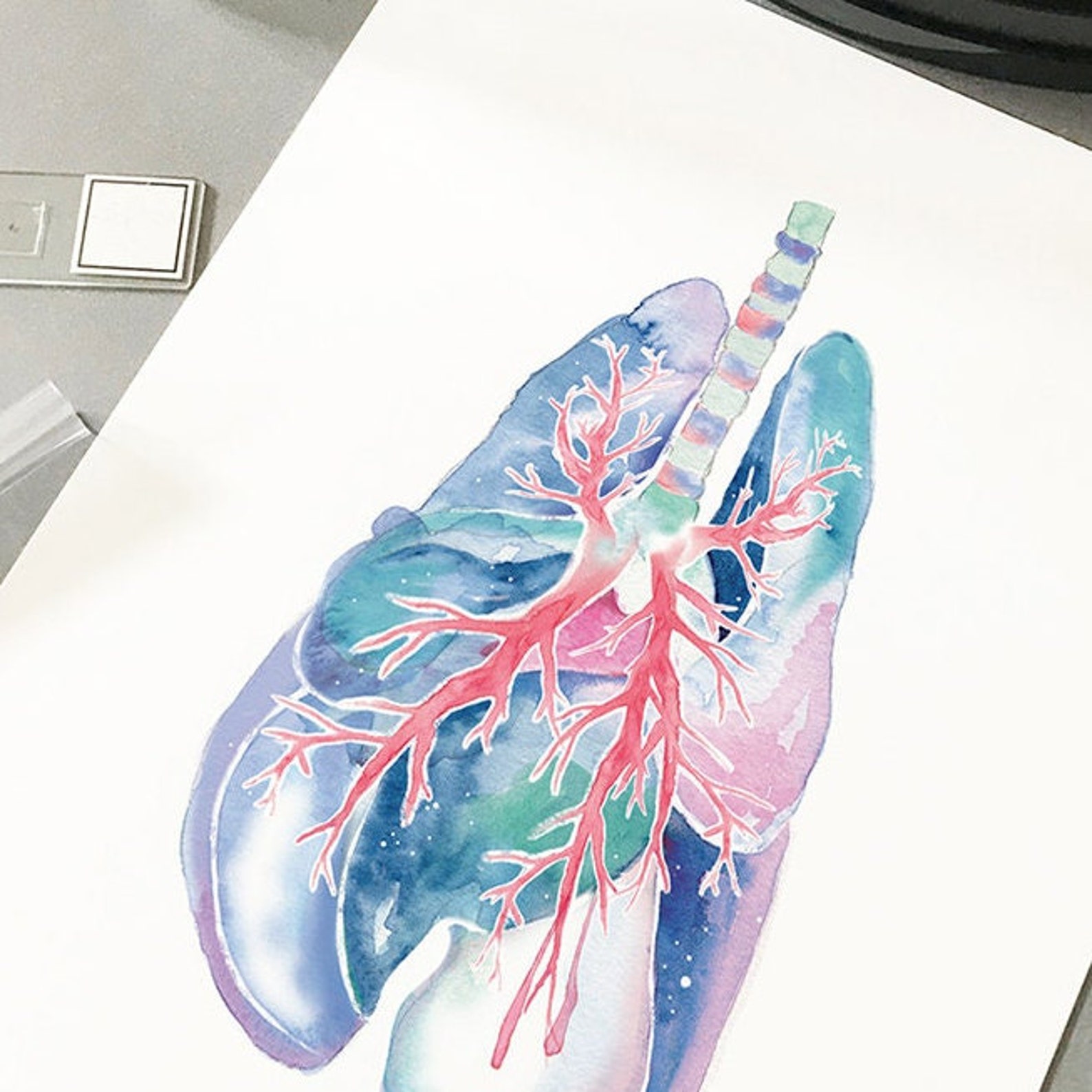 Canine Lung, Dog Anatomy Art Poster, Veterinary Canine Pulmonary Art ...
