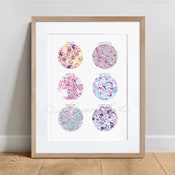 Anatomy Blackboard Canvas Prints Wall Art Medical Poster Prints Human ...