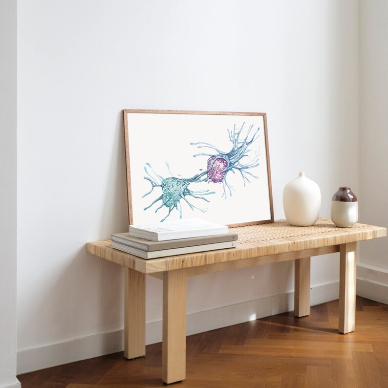 Two Natural Killer Cells Attacking Pathogen Science Art - Etsy
