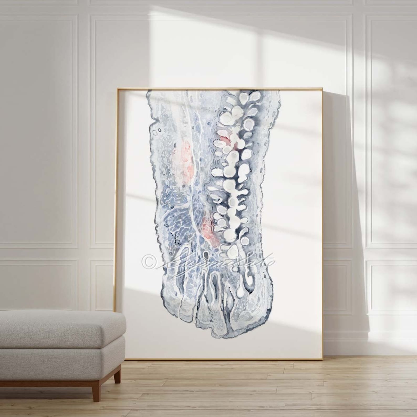Eyelid Histology Art, Eyelid Anatomy Art, Science Art Decor, Watercolor ...