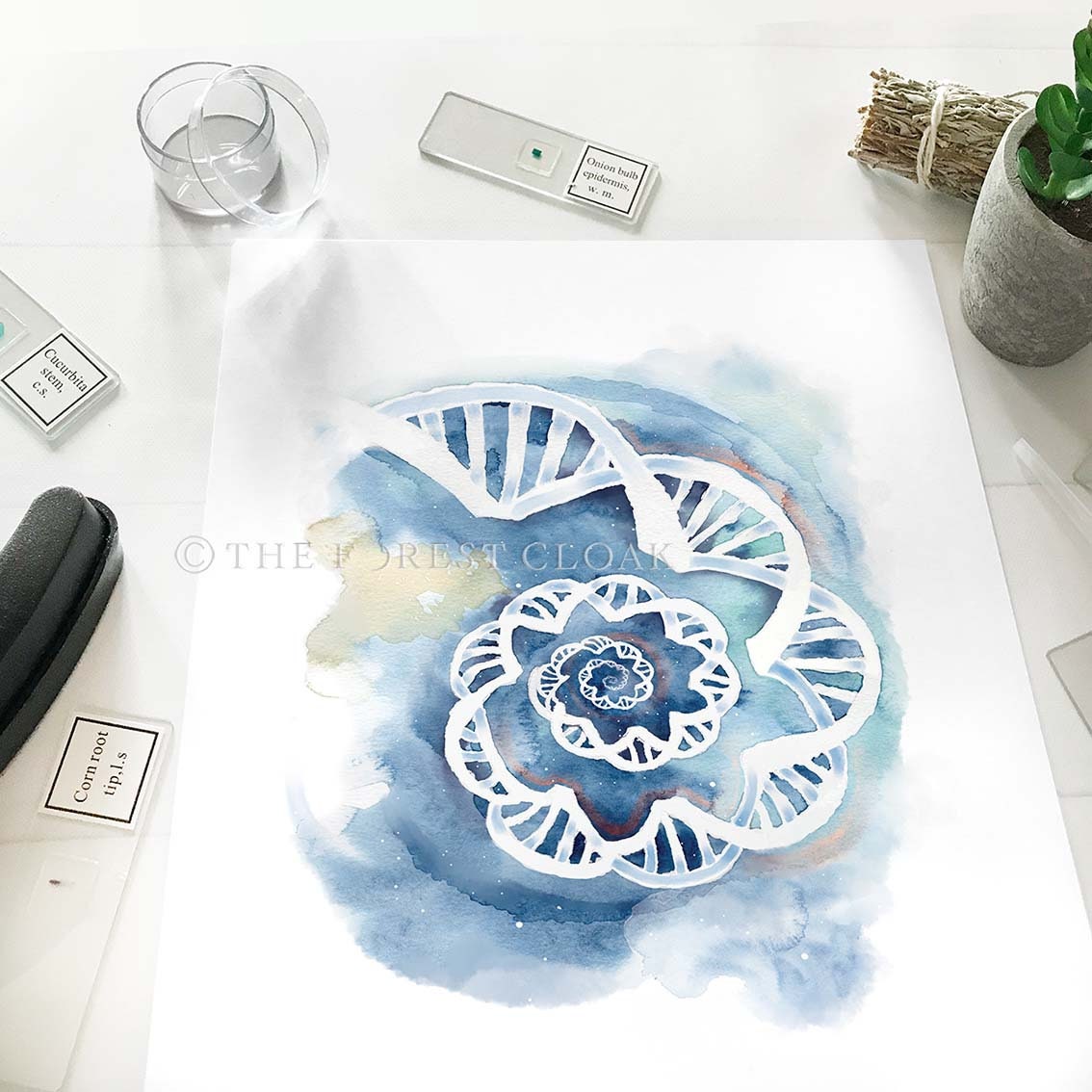 Set of 4 Genetics Posters, DNA, RNA, DNA Spiral, Chromosomes Science ...