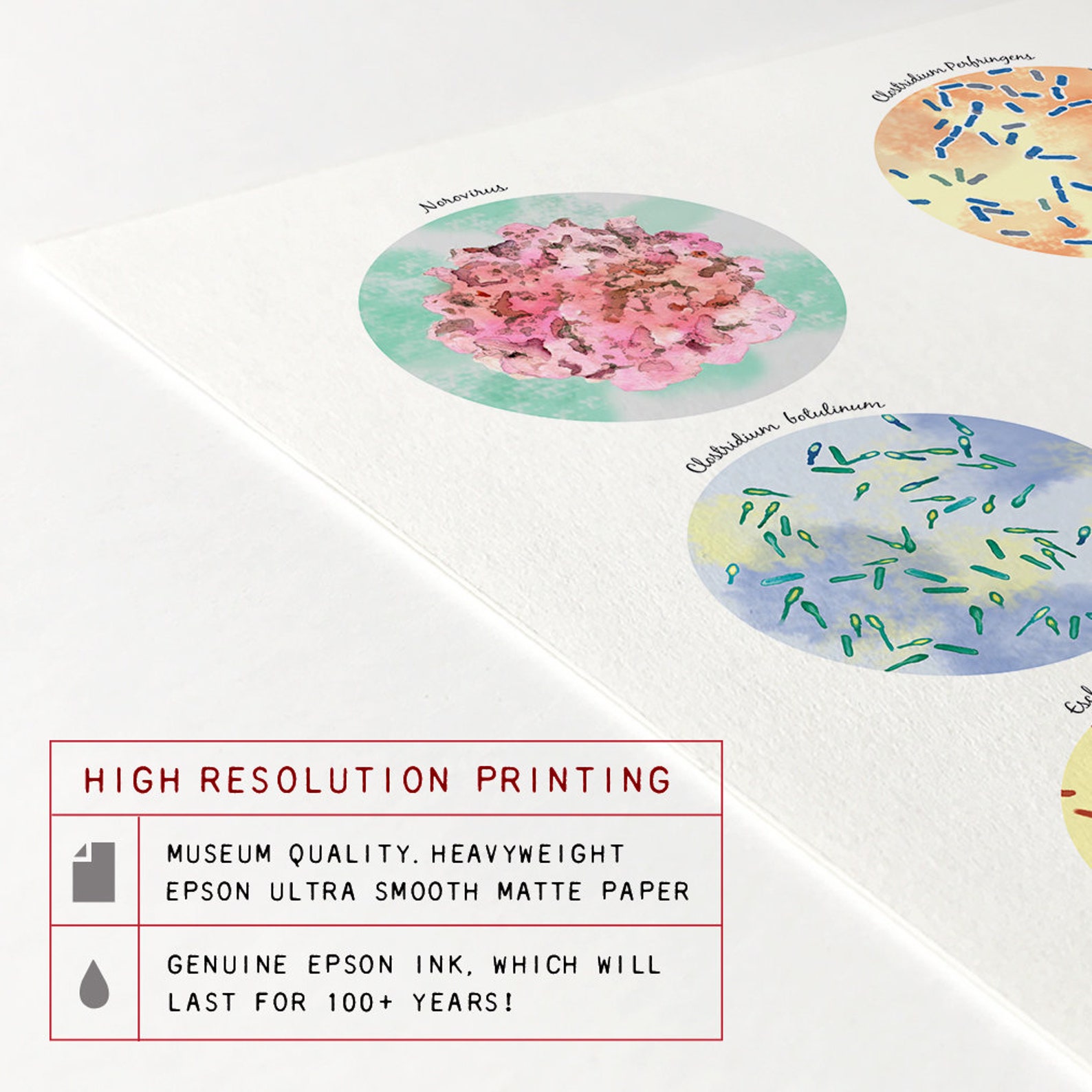 Foodborne Pathogens Collection Poster Bacteria Science Art | Etsy