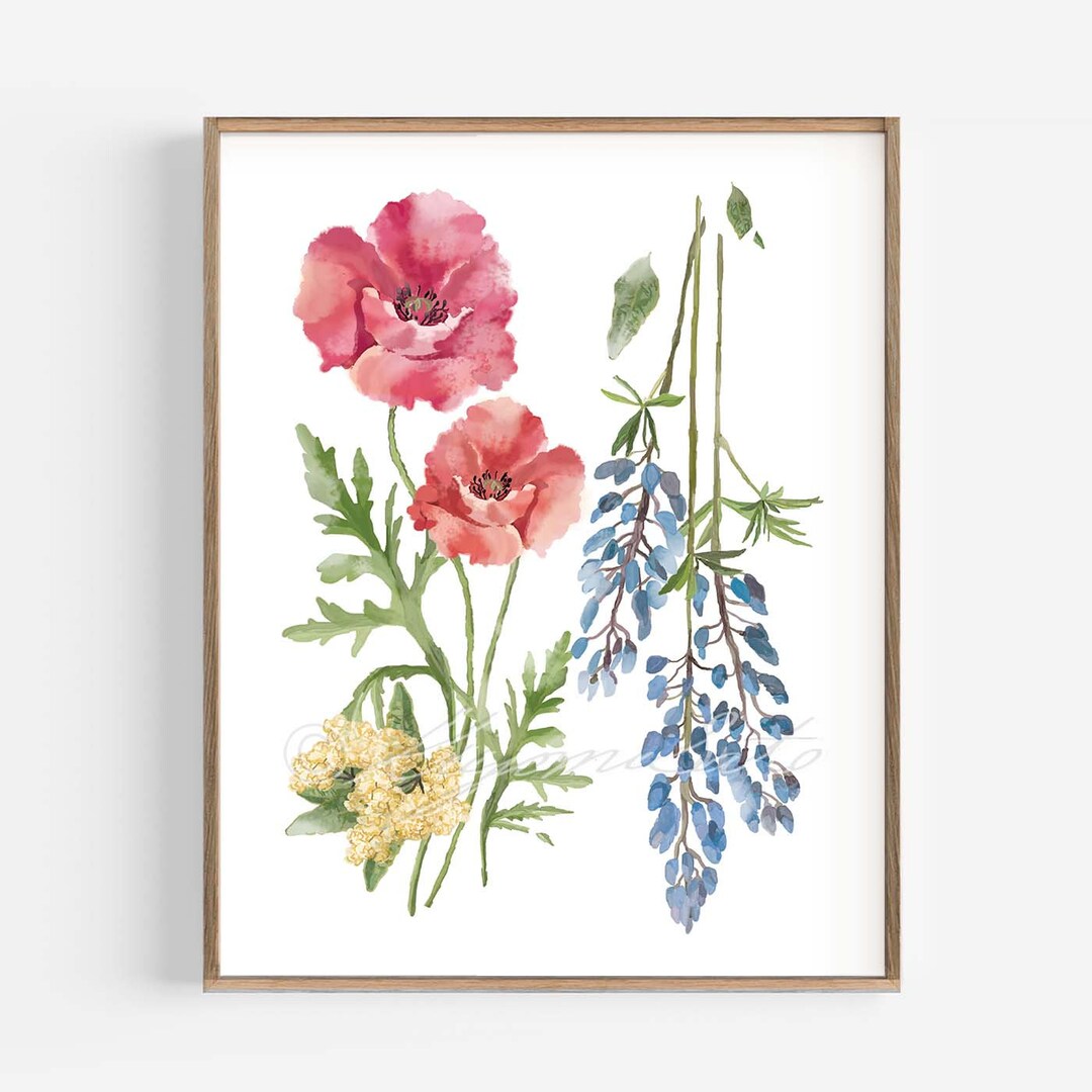 Red Flower Poster Watercolor Floral Art Plant Illustration Plant ...