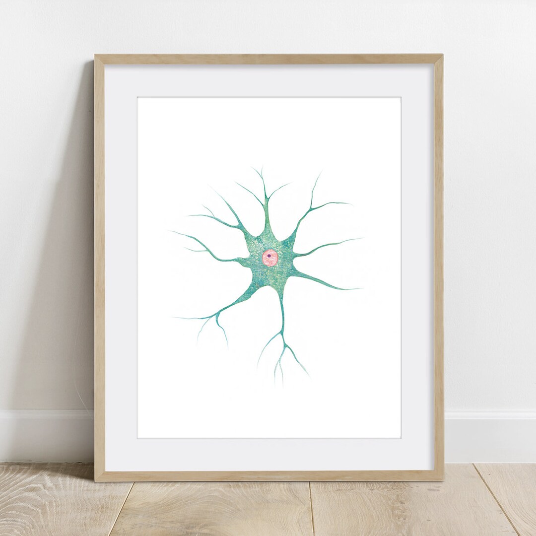 Nerve Cell, Biology Poster, Science Art Print, Neurology Wall Decor - Etsy