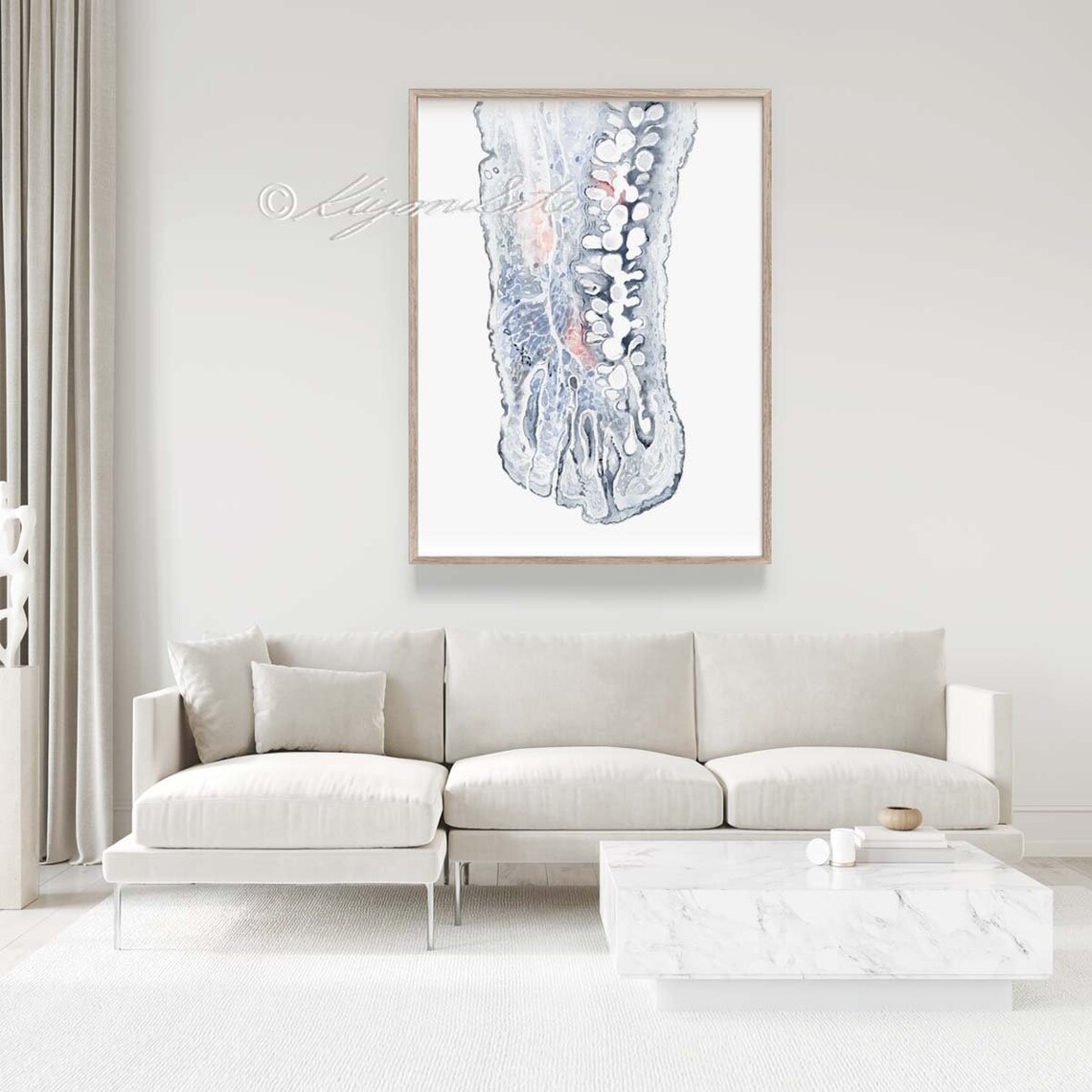 Eyelid Histology Art, Eyelid Anatomy Art, Science Art Decor, Watercolor ...