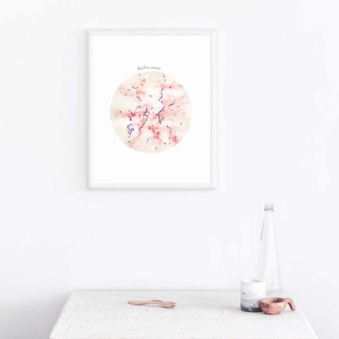 Bacillus Cereus, Science Art Print, Bacteria Poster, Microbiology Wall ...