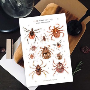 Tick Sticker, Parasite Sticker, Parasitology Sticker, Tick Collection ...