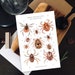 Tick Sticker, Parasite Sticker, Parasitology Sticker, Tick Collection ...
