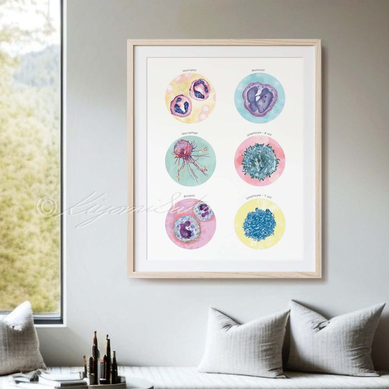 Defensive Cells, Immune System Collection, Microbiology Art Poster ...