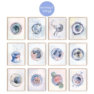 Immune System 12 Posters Set, Immunology Innate Immunity Adaptive ...